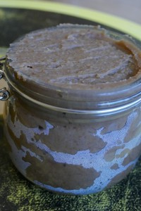 Recipe Vanilla Chestnut Cream with Companion - FRIJE