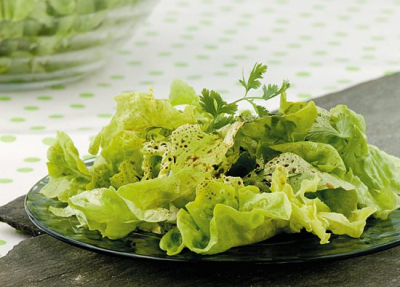 Recipe Green Salad Recipe - FRIJE